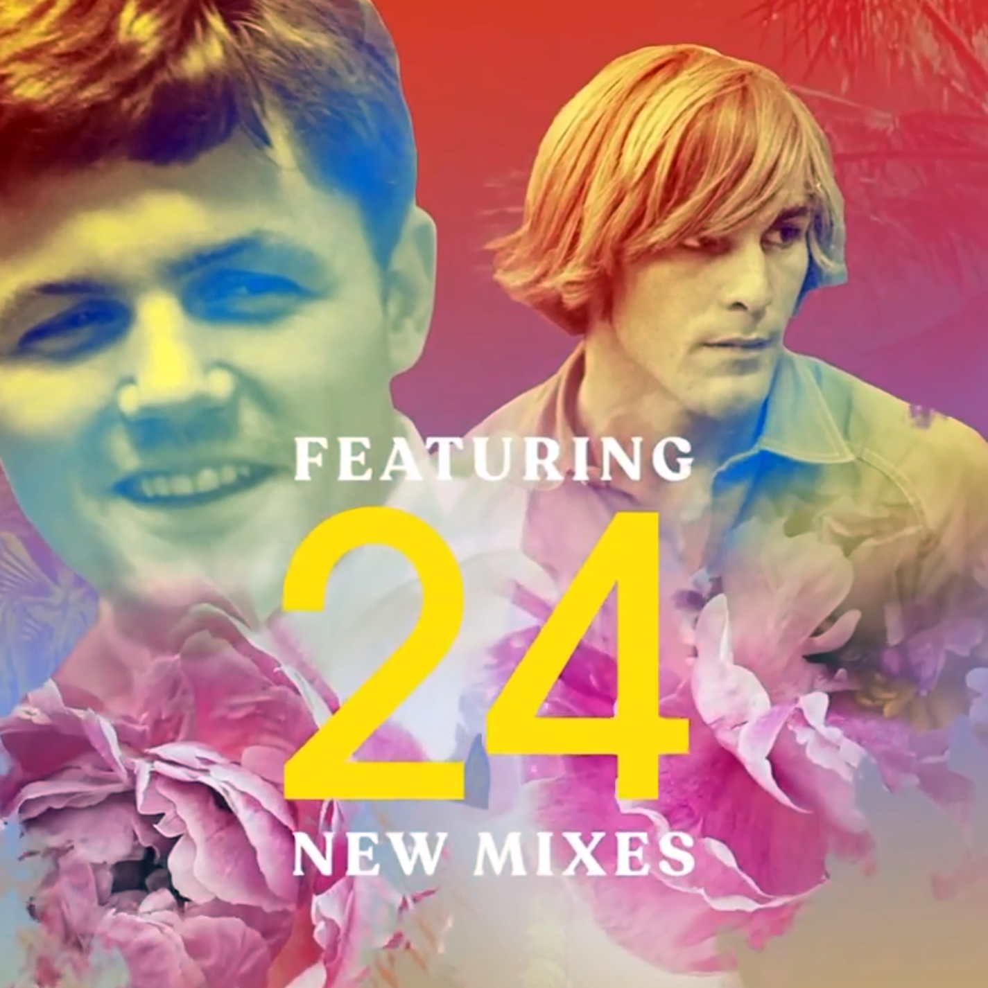 REVIEW: Sounds Of Summer expanded edition » Endless Summer Quarterly